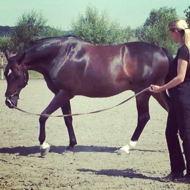 Circle | Straightness Training