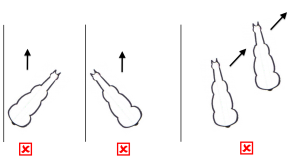 Lateral movements | Straightness Training