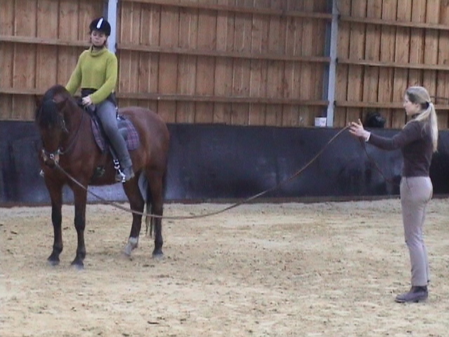 Riding a horse | Straightness Training